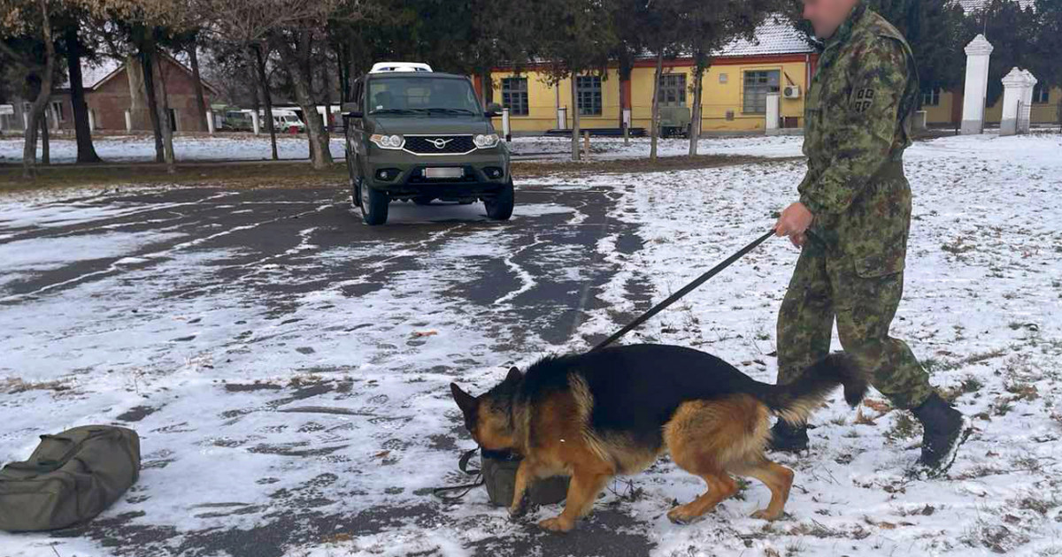 Pogledajte kako se obučavaju službeni psi (FOTO)