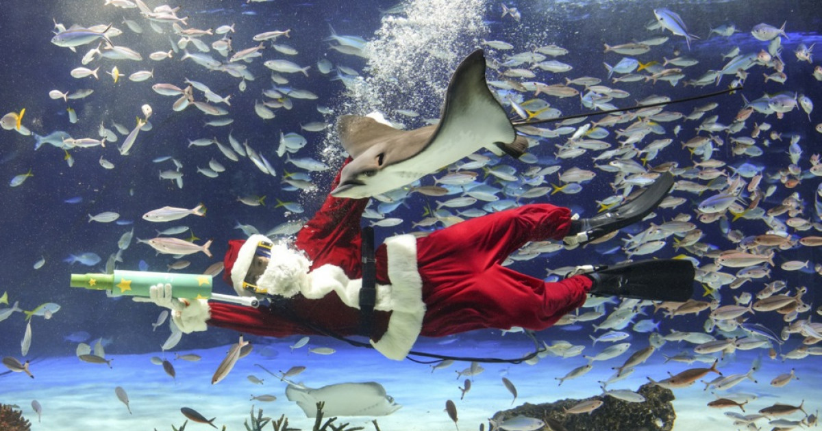 Deda Mraze, da nisi malo skrenuo sa staze? (FOTO)