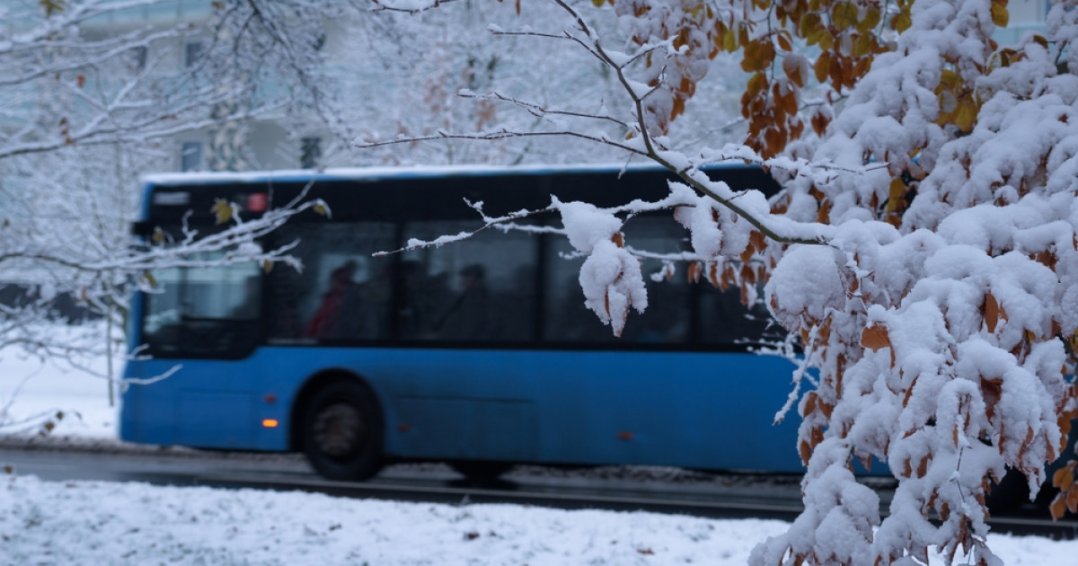 Više linija gradskih autobusa u Beogradu ne saobraća zbog leda na ulicama